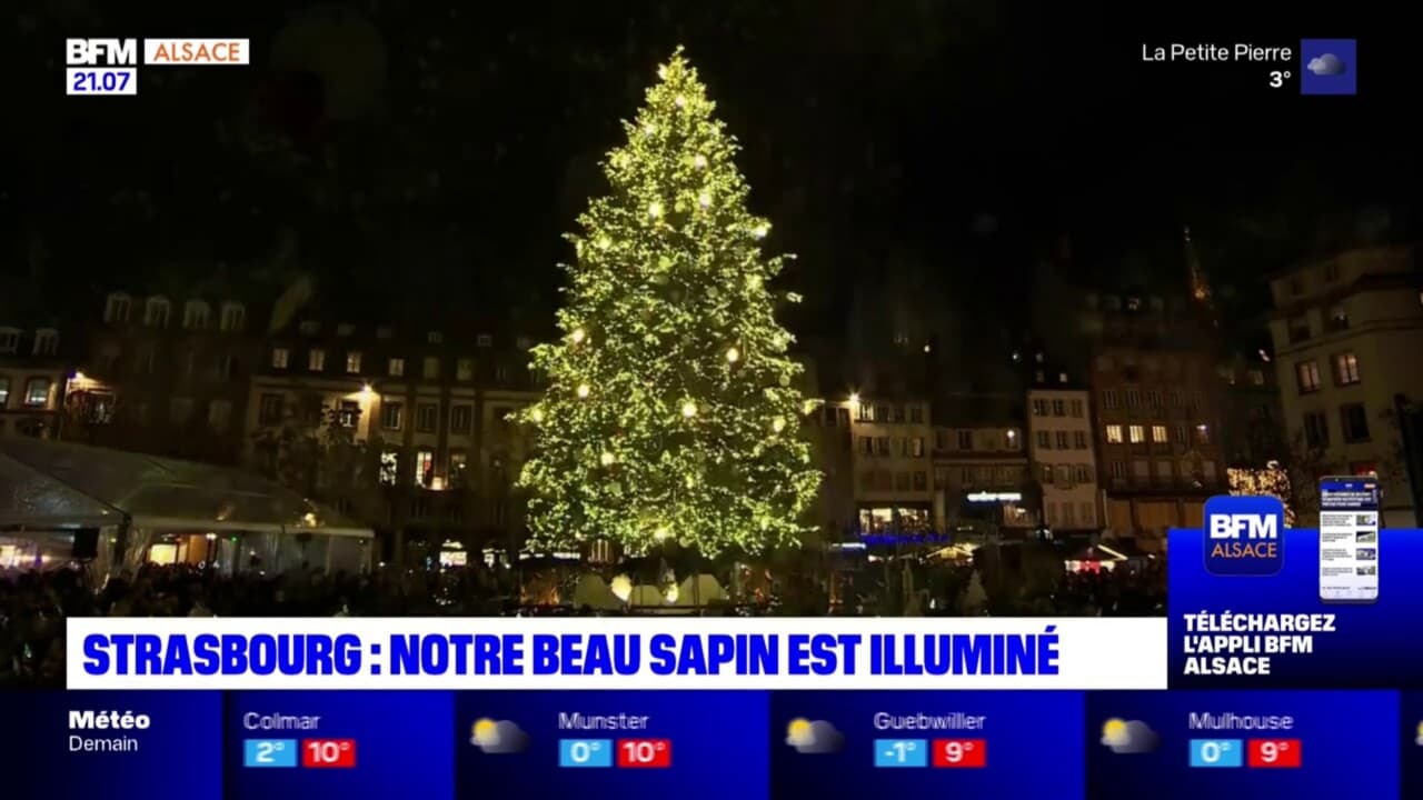 Marché de Noël de Strasbourg: le sapin est illuminé