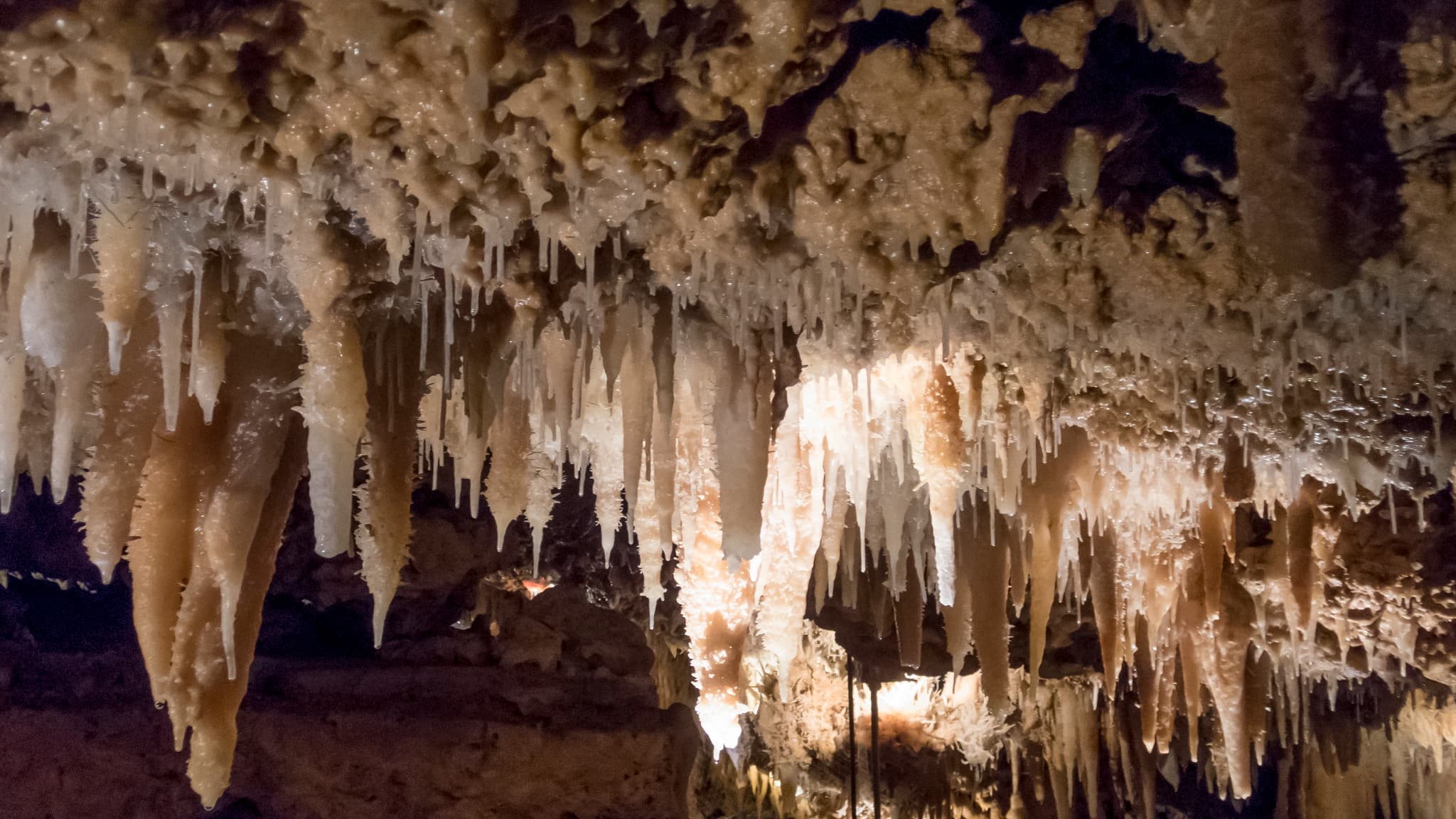 "Pour voir si c'est solide": en Dordogne, un touriste arrache d'une ...