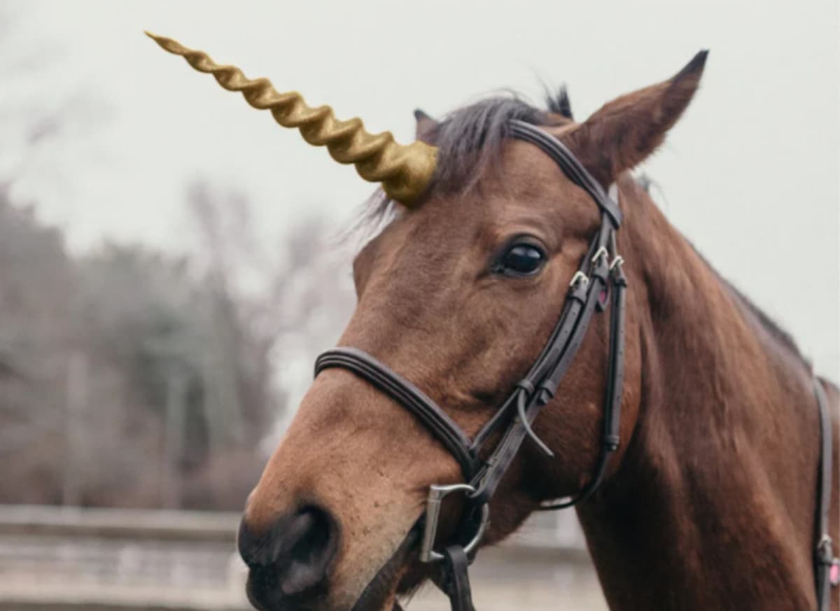 Noël 2021: 11 idées cadeaux pour les amoureux des chevaux