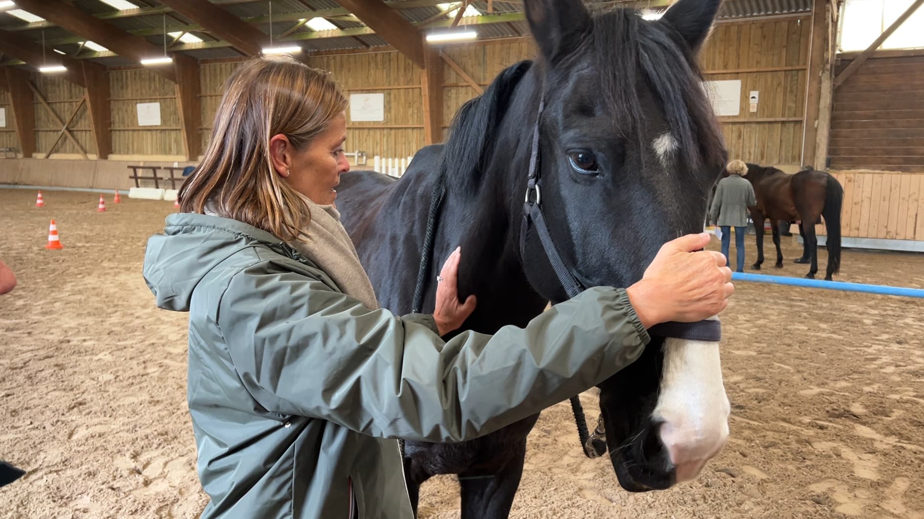 "Il faut mettre le pied là où le cheval mettra le sabot": l ...