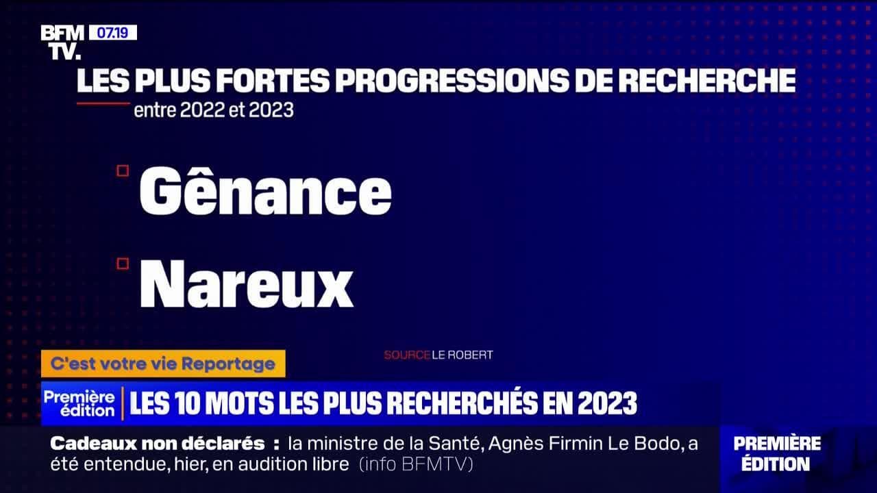 Les 10 mots les plus recherchés en 2023 - 11/01