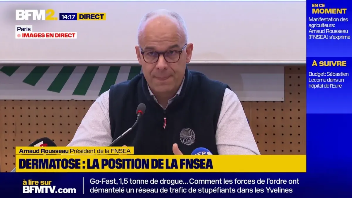 Dermatose nodulaire : "la meilleure solution", Arnaud Rousseau explique ...