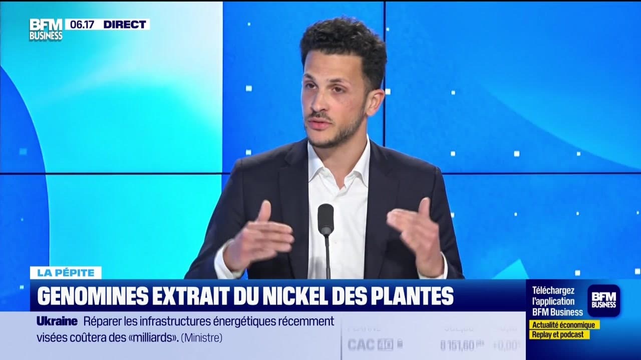 La pépite : Genomines extrait du nickel des plantes, par Annalisa ...