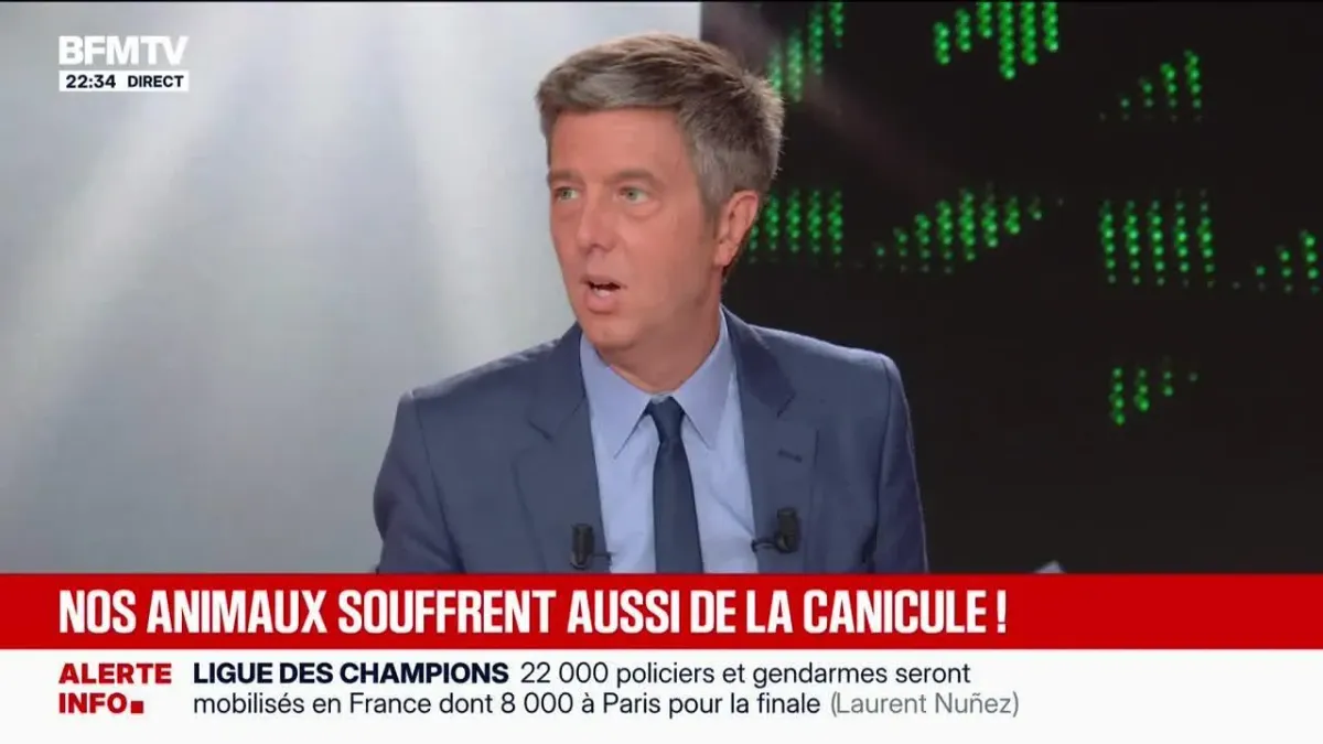 Plus de 1 100 records de chaleur battus en cinq jours - 27/05