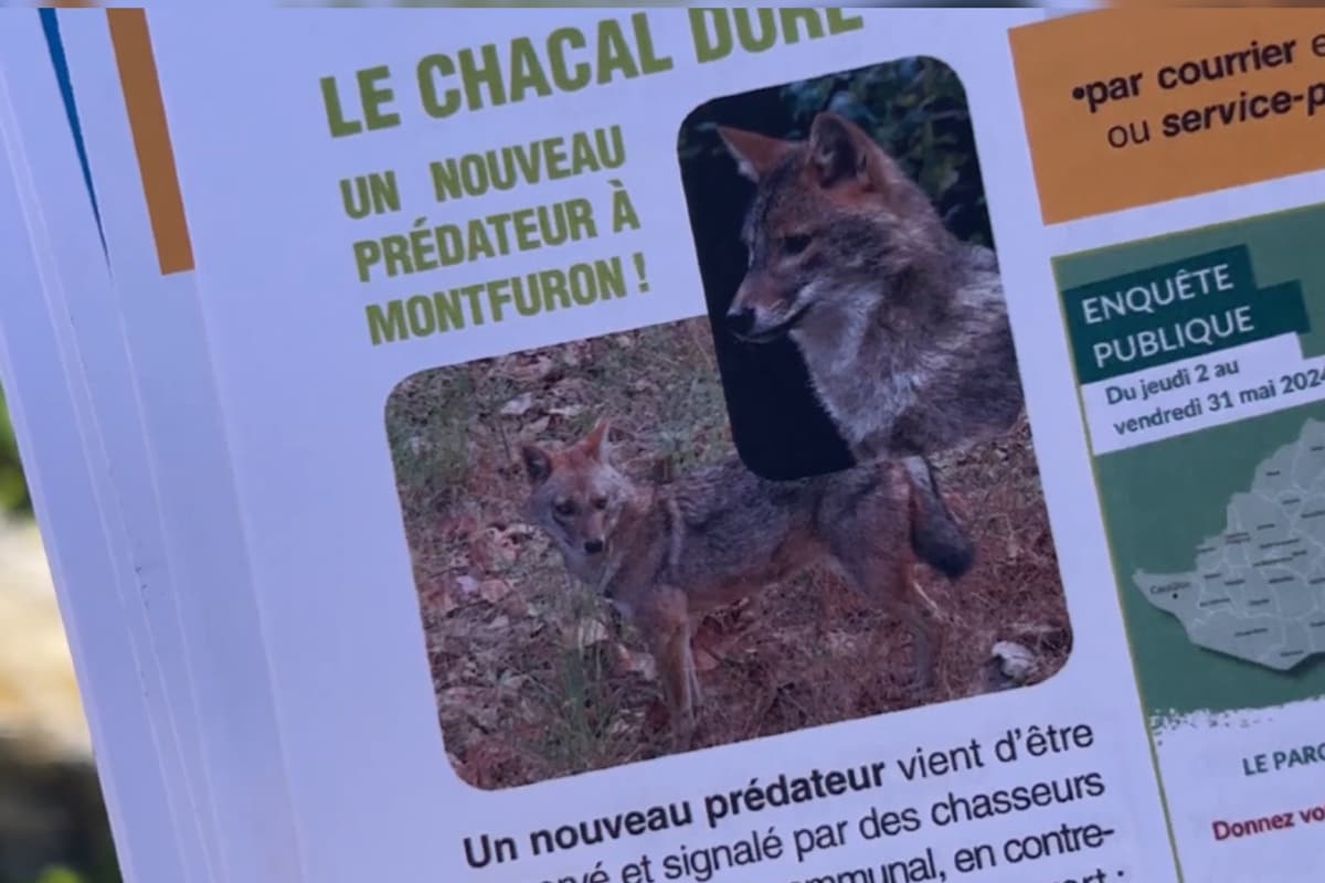 Alpes-de-Haute-Provence: des habitants de Montfuron affirment avoir vu ...