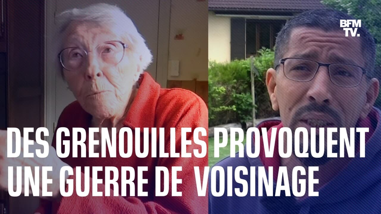 "On ne peut pas dormir": des grenouilles provoquent un conflit de voisinage en Savoie