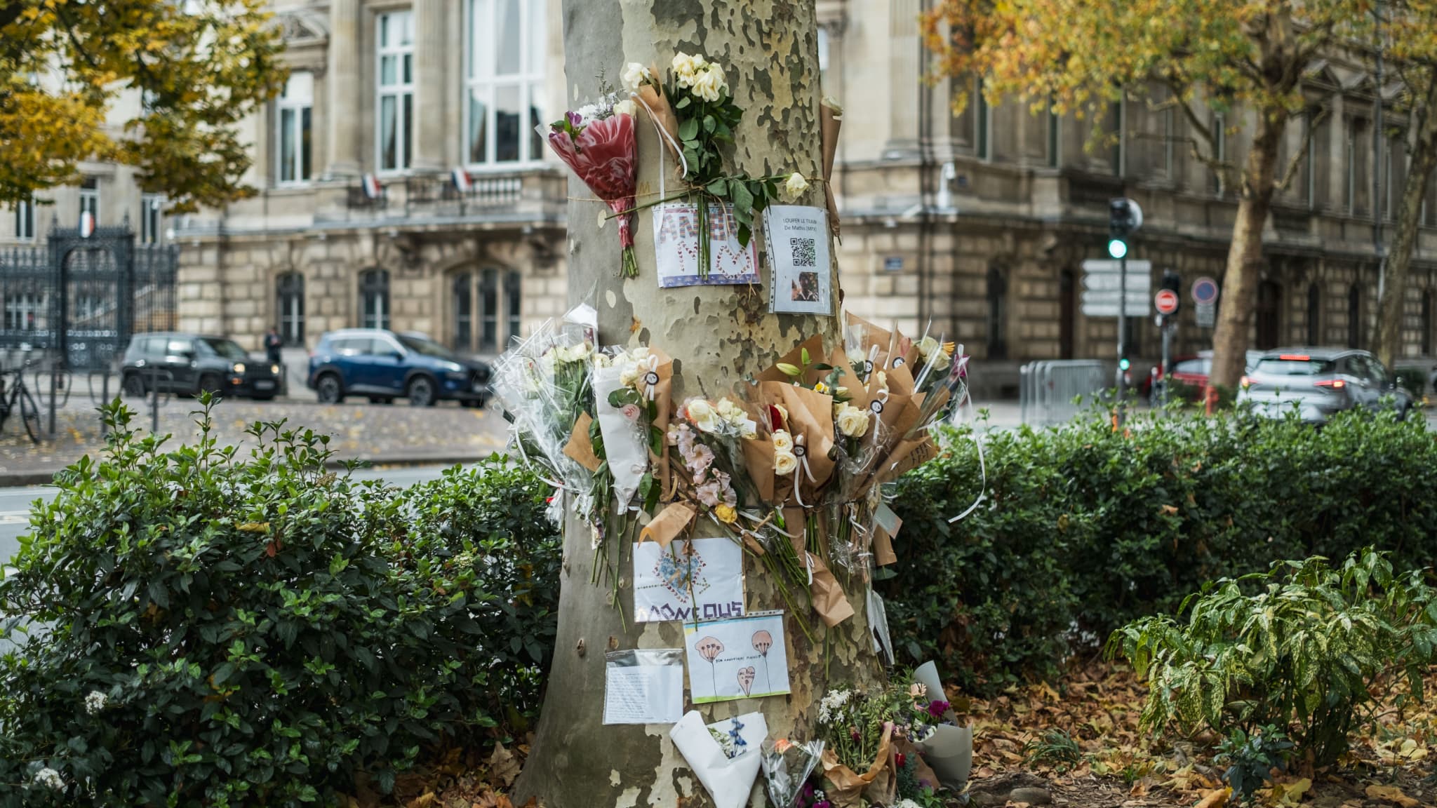 "Un cas qui doit servir d’exemple": une marche blanche pour Mathis, tué par un chauffard ...
