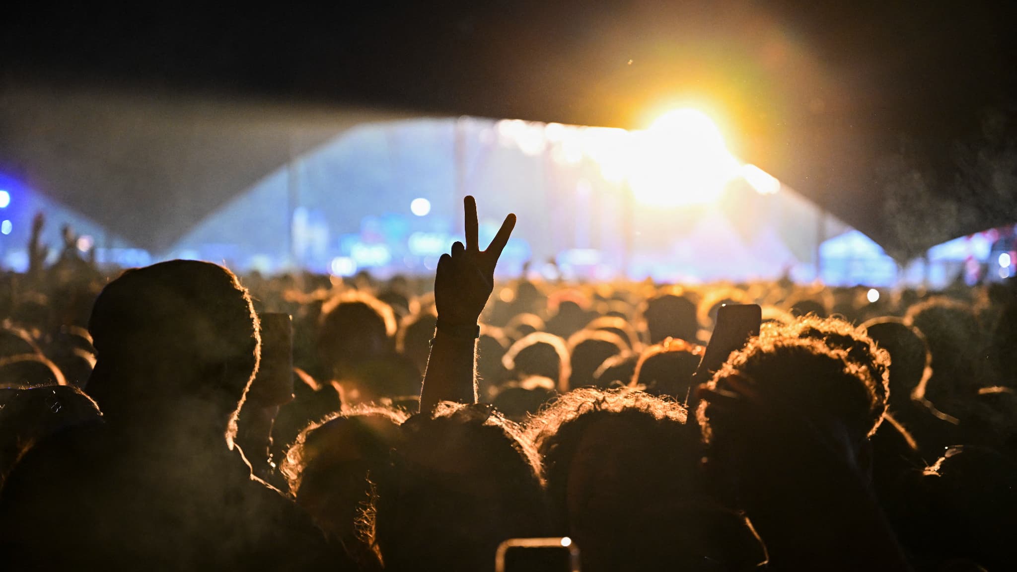 Gorillaz, Theodora, The XX... We Love Green dévoile les premiers ...