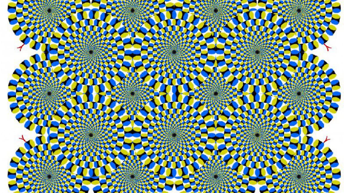 Dix illusions d'optique qui divisent autant que la robe bleue (ou dorée)