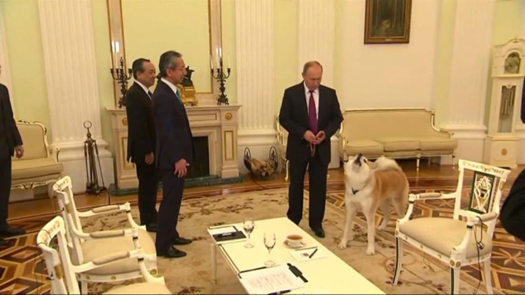 Ces moments gênants que font vivre les chiens de Poutine à ses visiteurs
