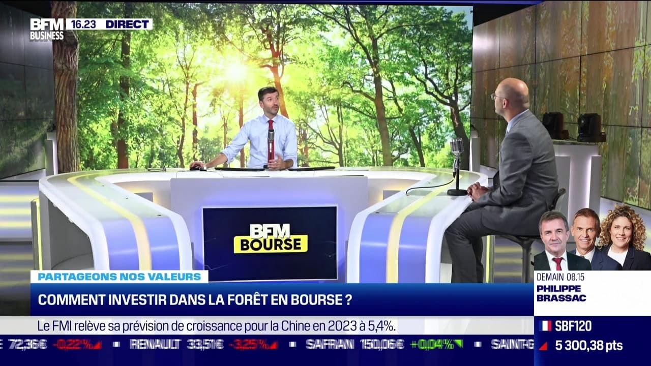 Partageons nos valeurs: Comment investir dans la forêt en Bourse ? - 07/11 Partageons nos valeurs: Comment investir dans la forêt en Bourse ? - 07/11