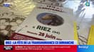 Traditions provençales : Riez se prépare pour la fête de la transhumance