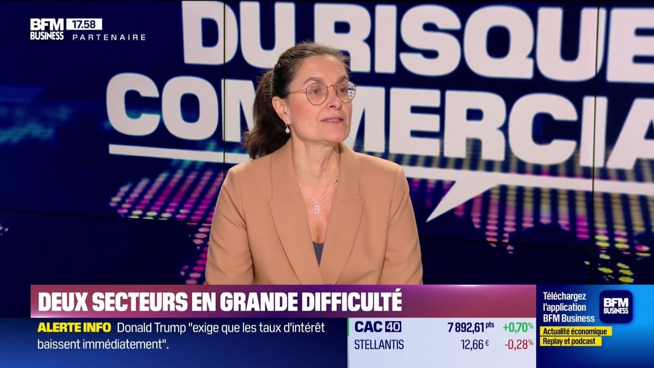 Les chroniques du risque commercial : Augmentation des défaillances d ...