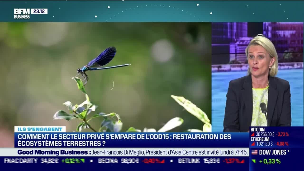 Objectif Raison d'être : Comment le secteur privé s'empare de l'ODD 15 ...