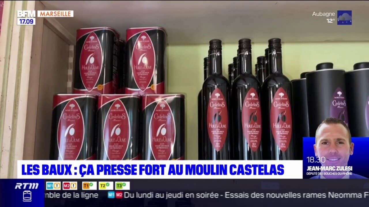 La récole des olives bat son plein au Moulin Castelas aux Baux-de-Provence