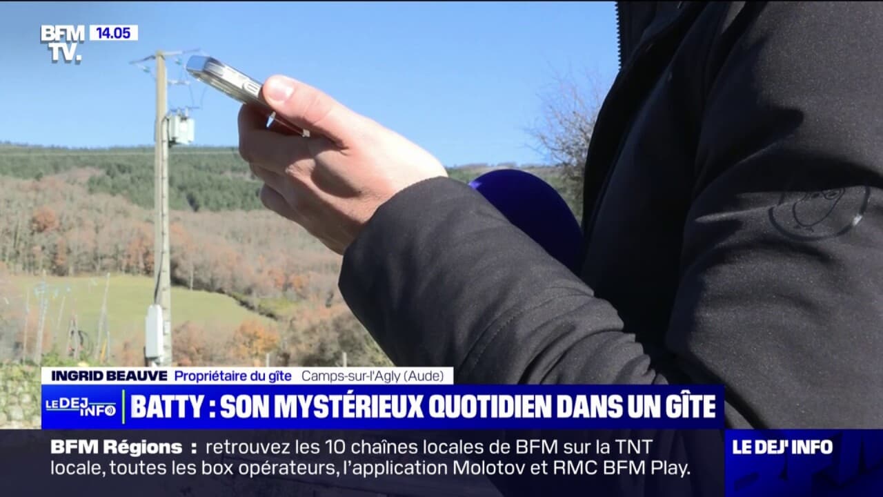 "On pensait que ça resterait quelques semaines": la propriétaire du ...