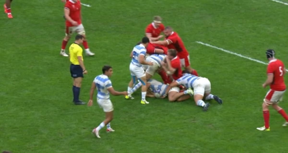 EN DIRECT - Pays de Galles-Argentine: les Pumas premiers qualifiés pour ...