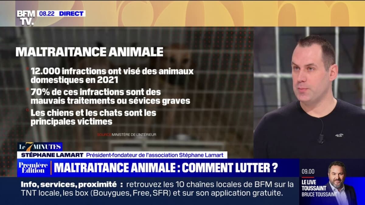 7 MINUTES POUR COMPRENDRE - Maltraitance animale: comment lutter