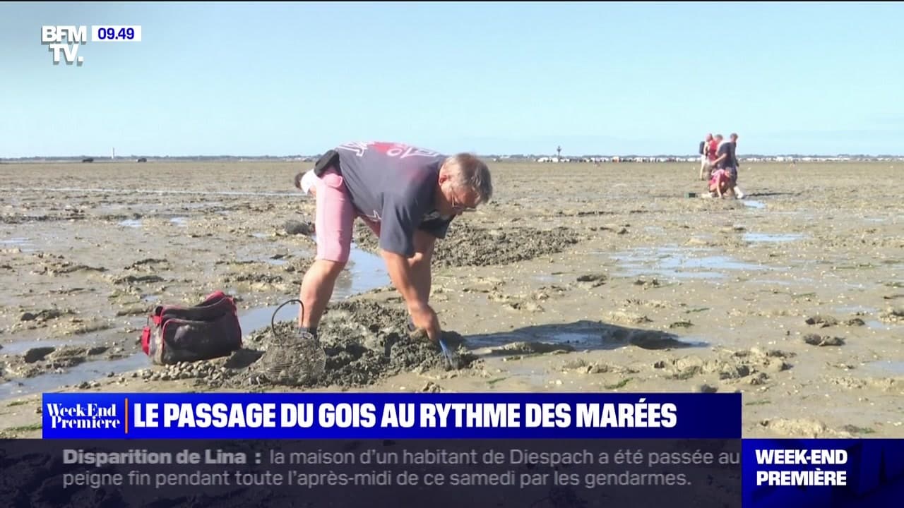 Le passage du Gois au rythme des marées - 01/10