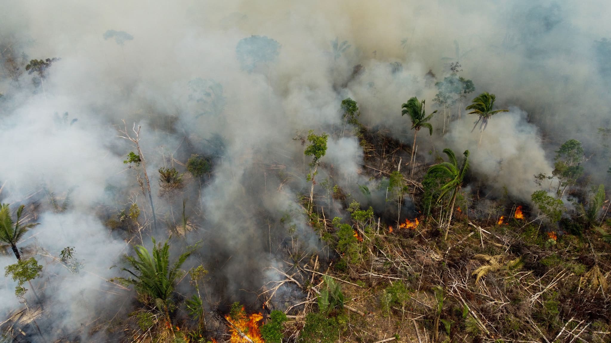 Brésil: plus d'incendies en Amazonie depuis janvier que sur toute l ...