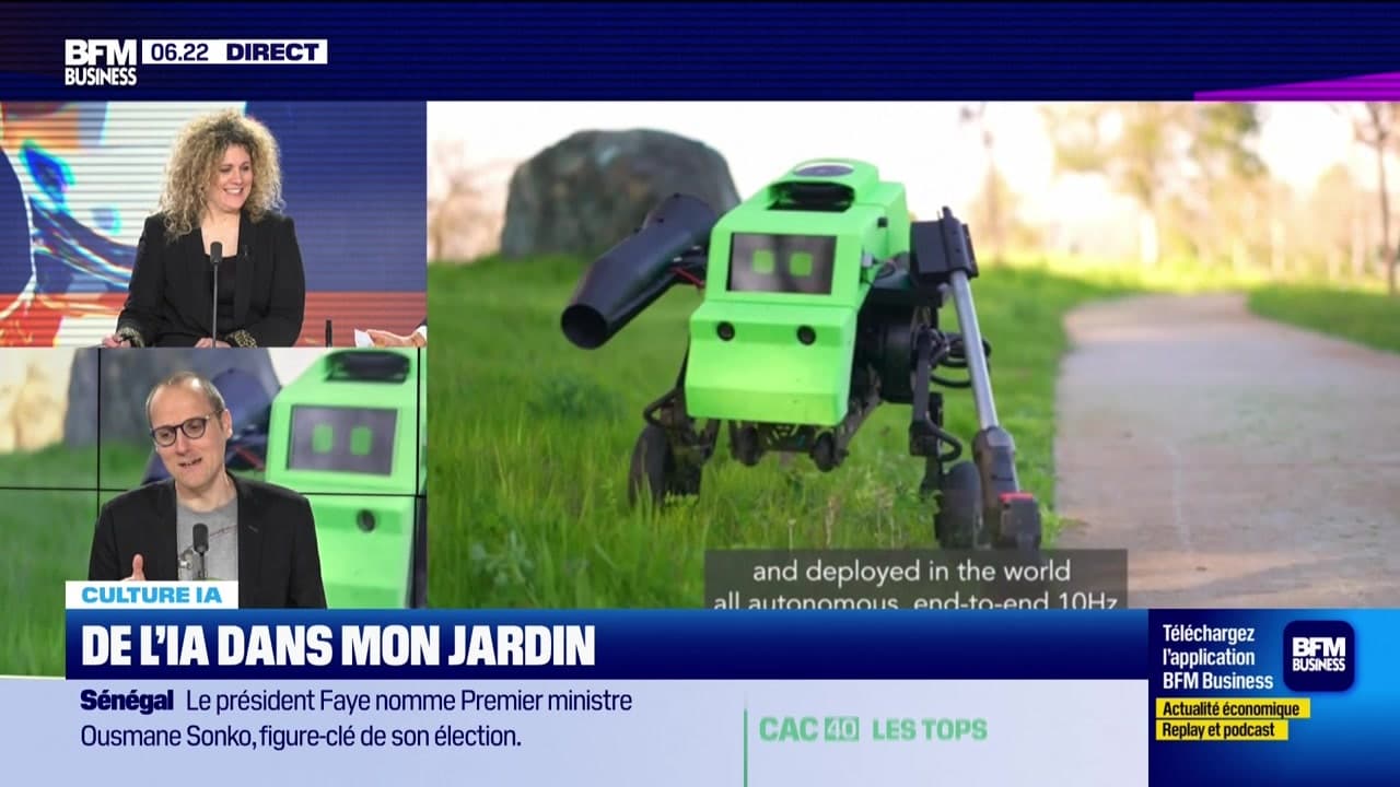 Culture IA : De l'IA dans mon jardin, par Anthony Morel - 03/04