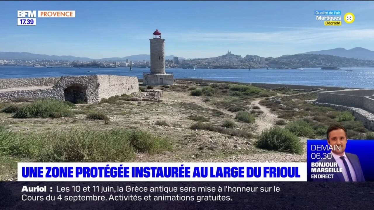 Une zone protégée est instaurée au large du Frioul pour préserver la ...