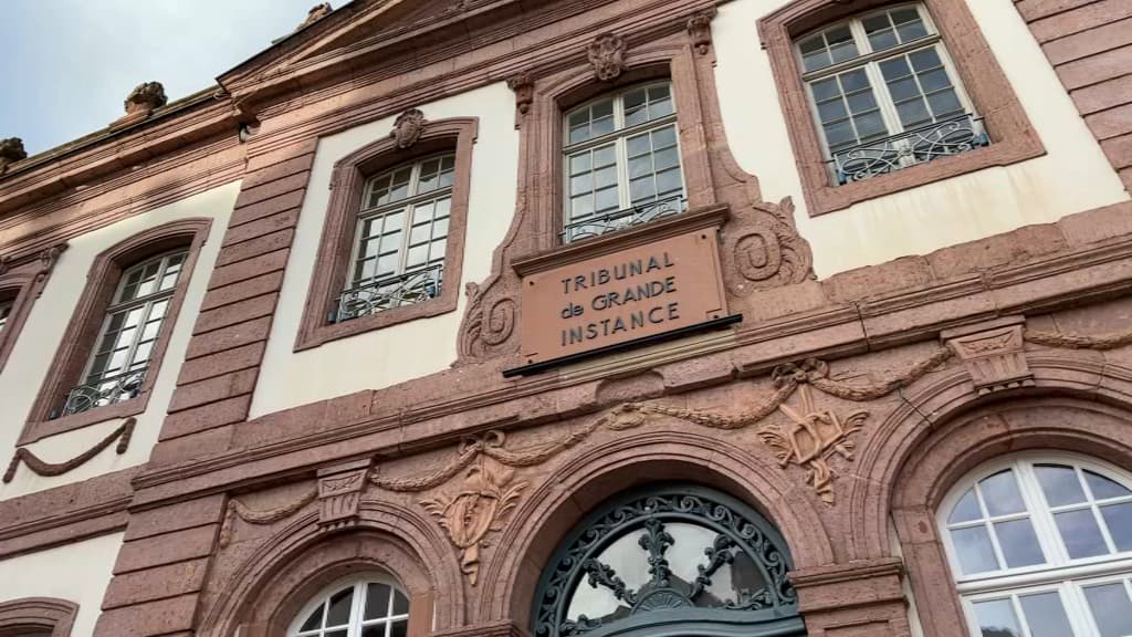 Héritage Schlumpf dilapidé: 30 mois de prison et mandat d'arrêt pour la ...