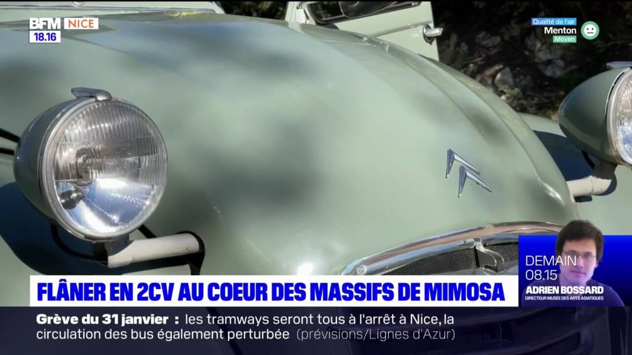 Azur & Riviera: flâner en 2CV au coeur des massifs de mimosa