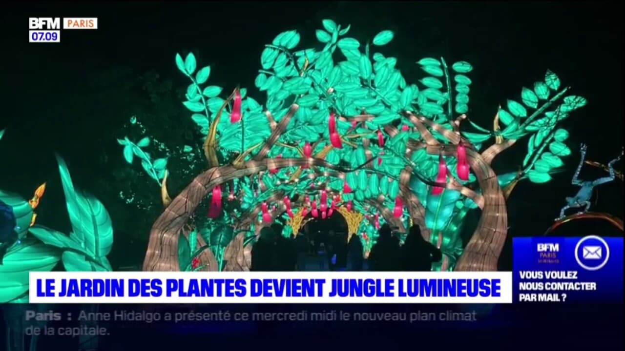 Paris: le Jardin des Plantes devient jungle lumineuse
