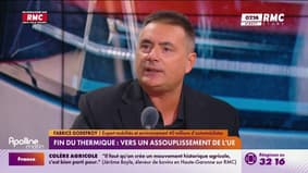 Fin du thermique ? "Au final c'est les automobilistes qui font leur choix"