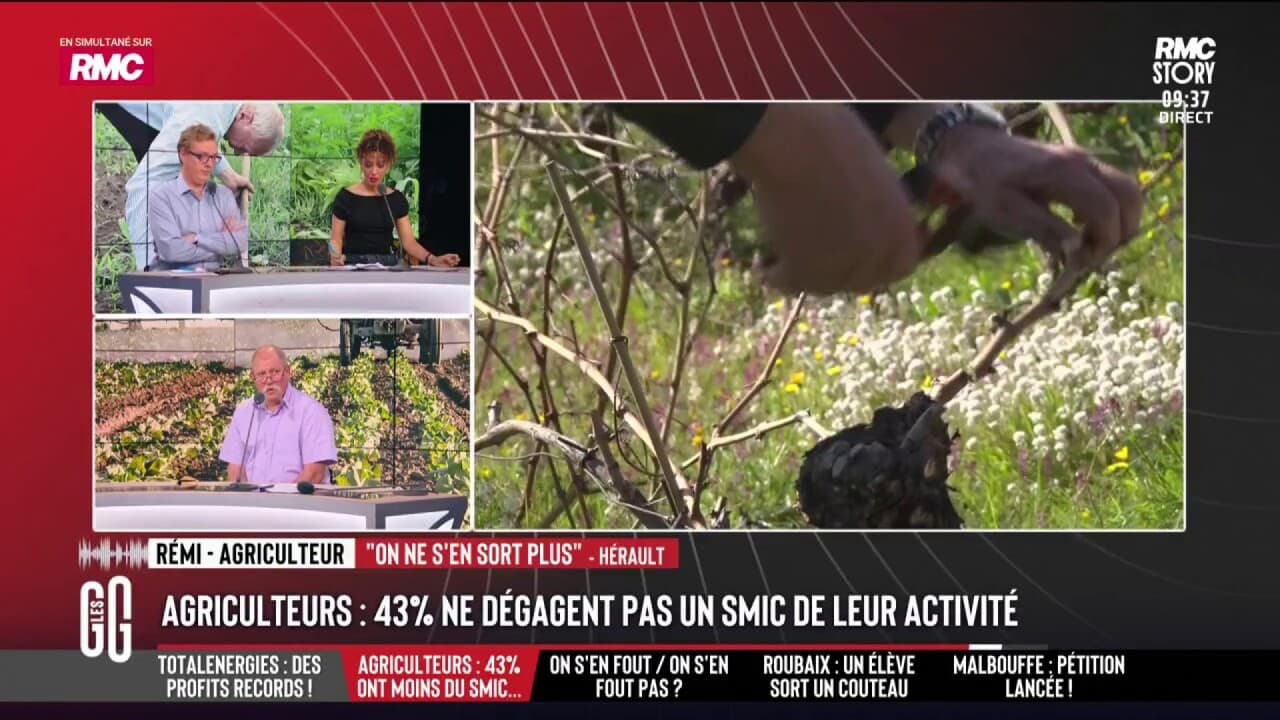 Nos agriculteurs tirent la langue : 43% d'entre eux touchent moins que ...