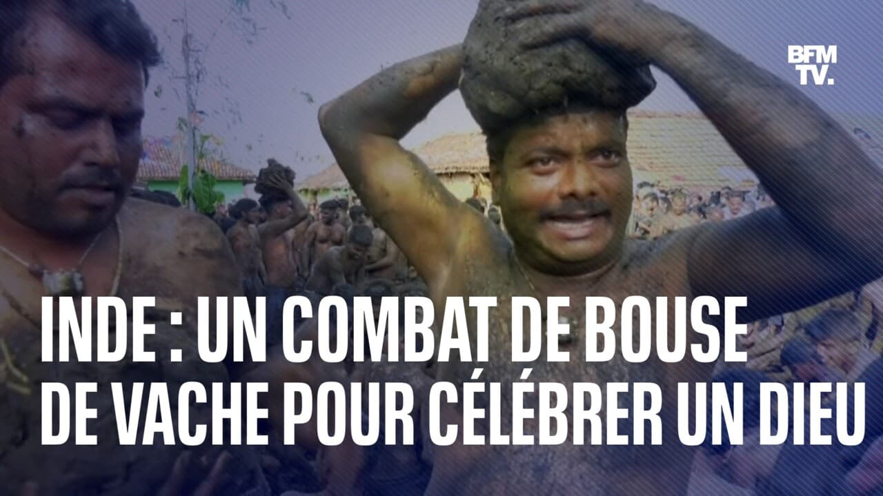 Un combat de bouse de vache pour célébrer un dieu hindou en Inde