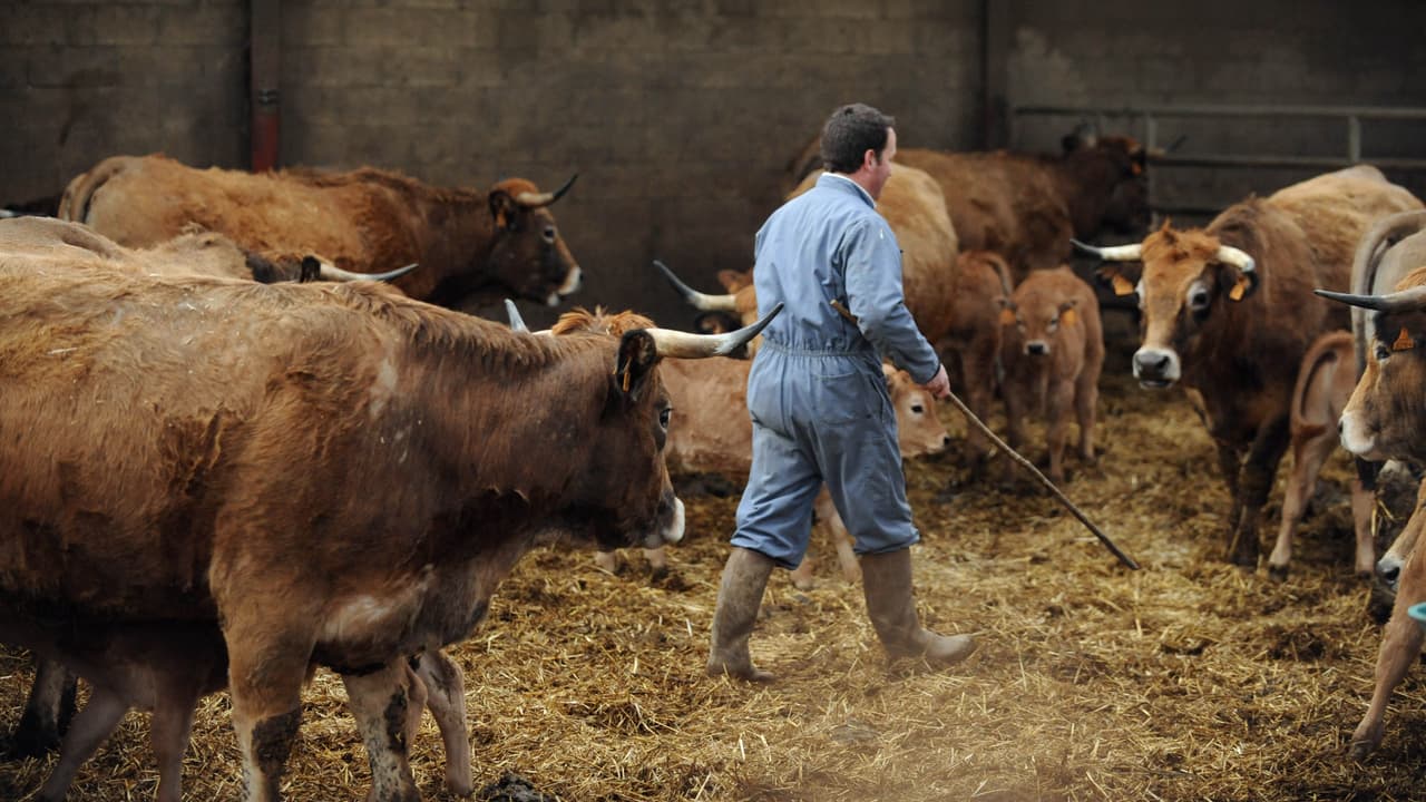 L'amour est dans le pré reprend: "les agriculteurs ne sont pas plus ...