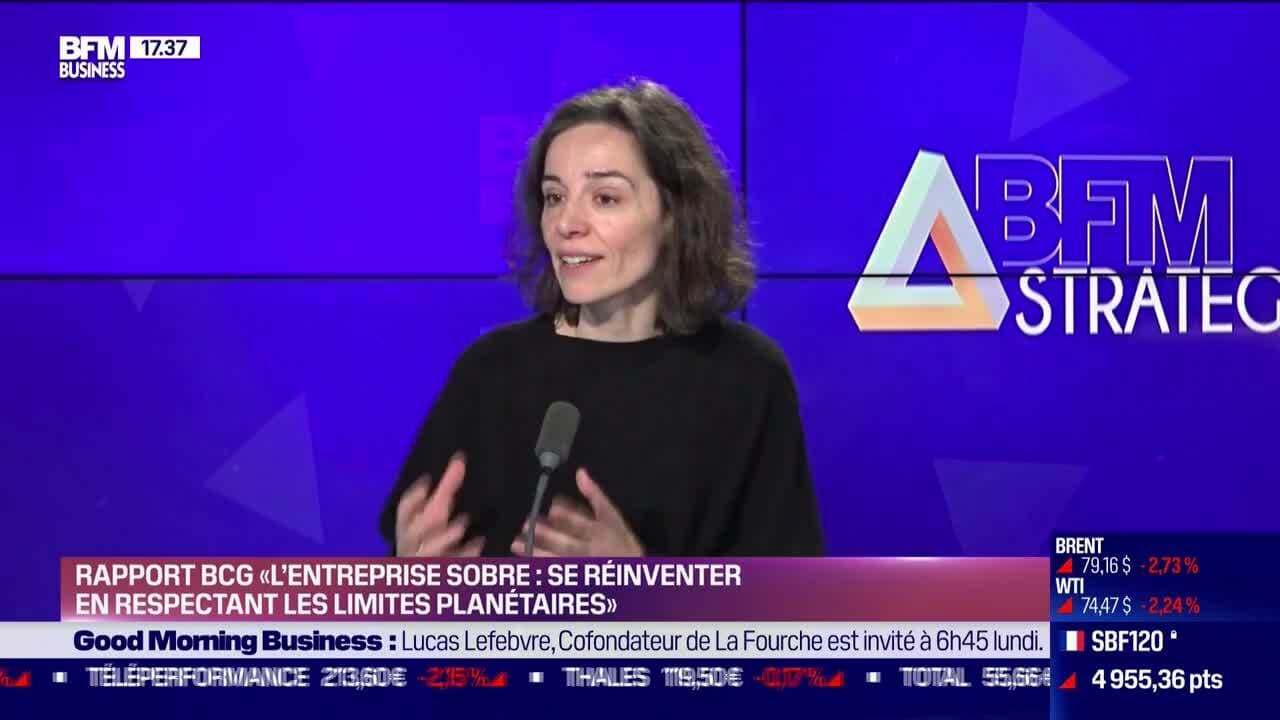 BFM Stratégie (Cours n°200): Rapport BCG "L'entreprise sobre : se ...