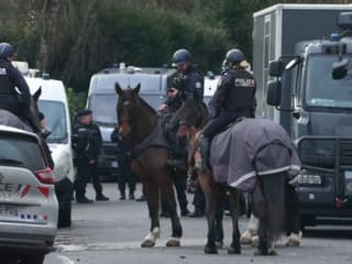 Meurtre de Louise, 11 ans