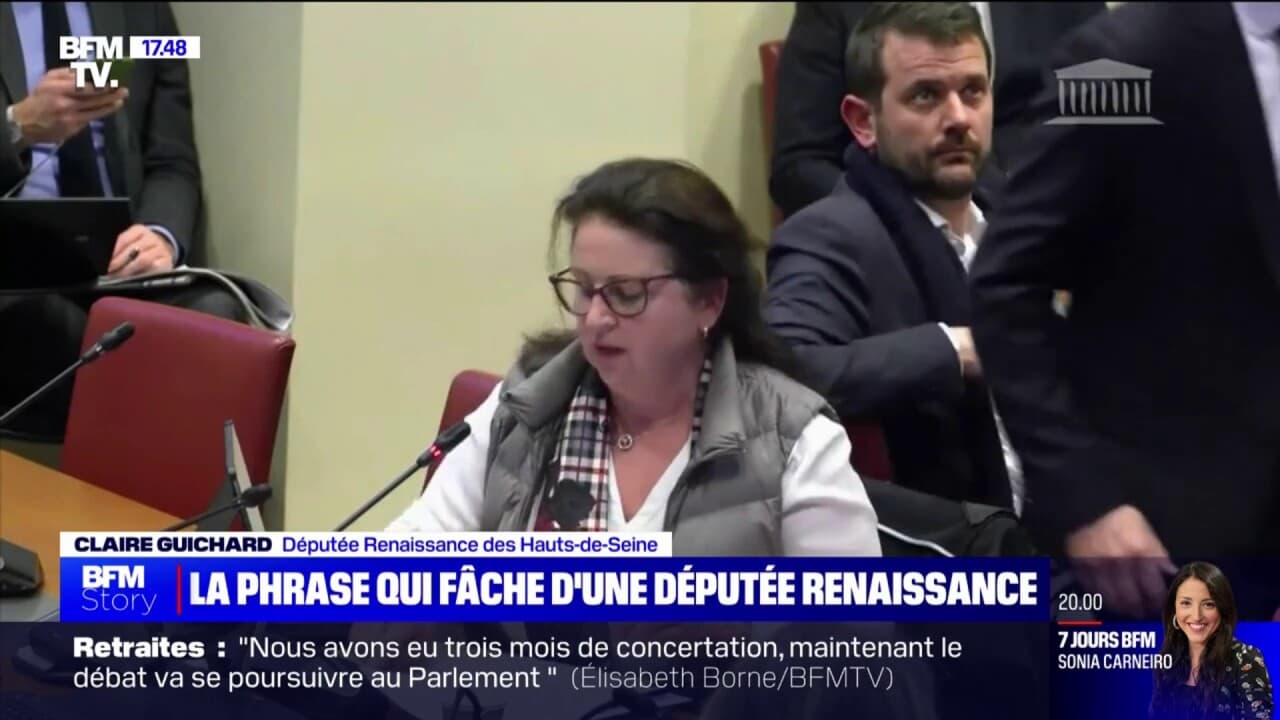 Une députée Renaissance crée la polémique en déclarant que les AESH ...