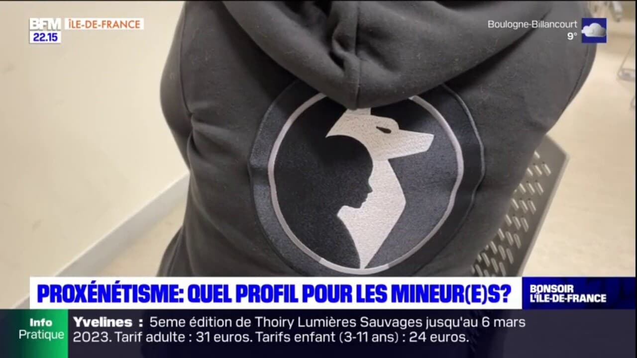 Flagrants Délits: témoignage d'une enquêtrice du groupe "Proxo" de la ...