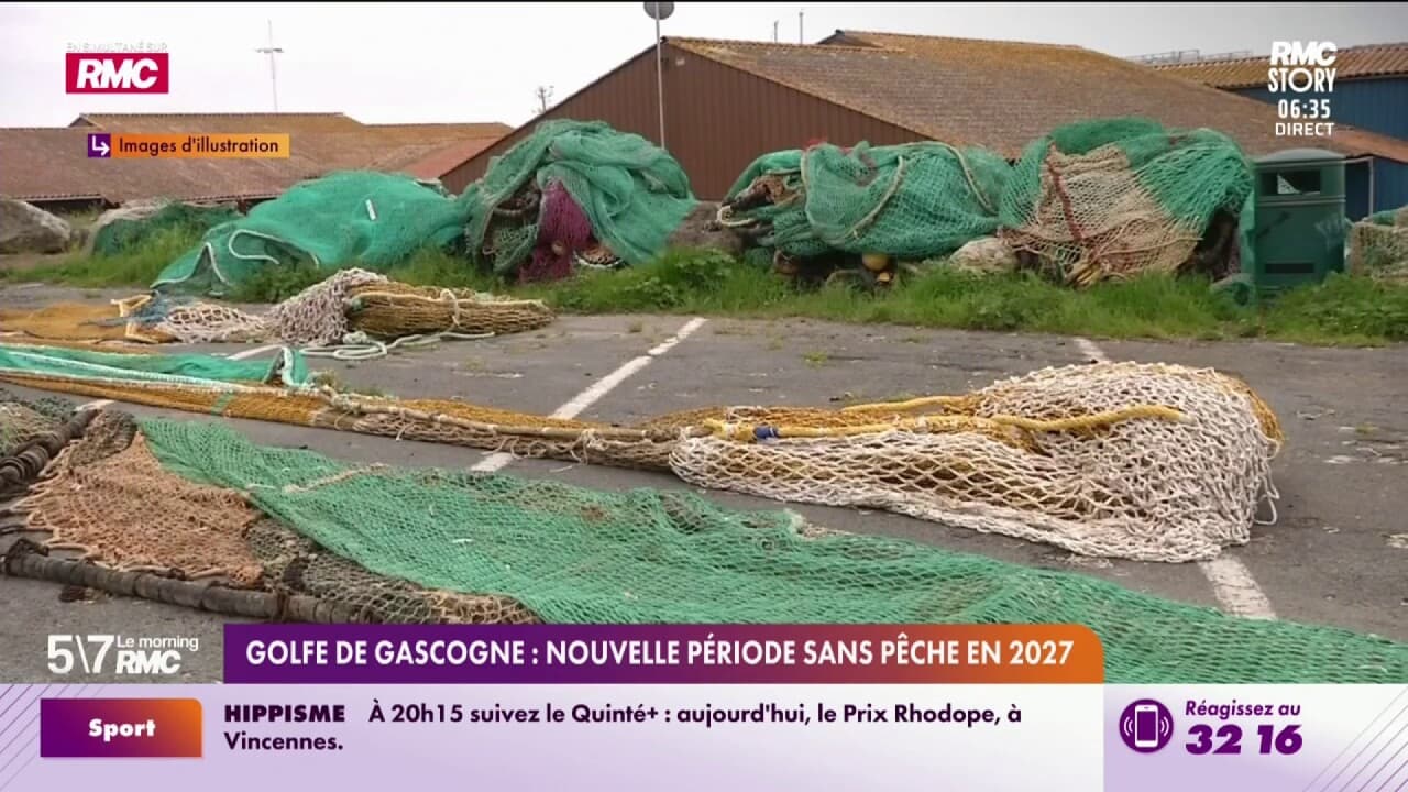 Golfe de Gascogne : nouvelle période sans pêche en 2027