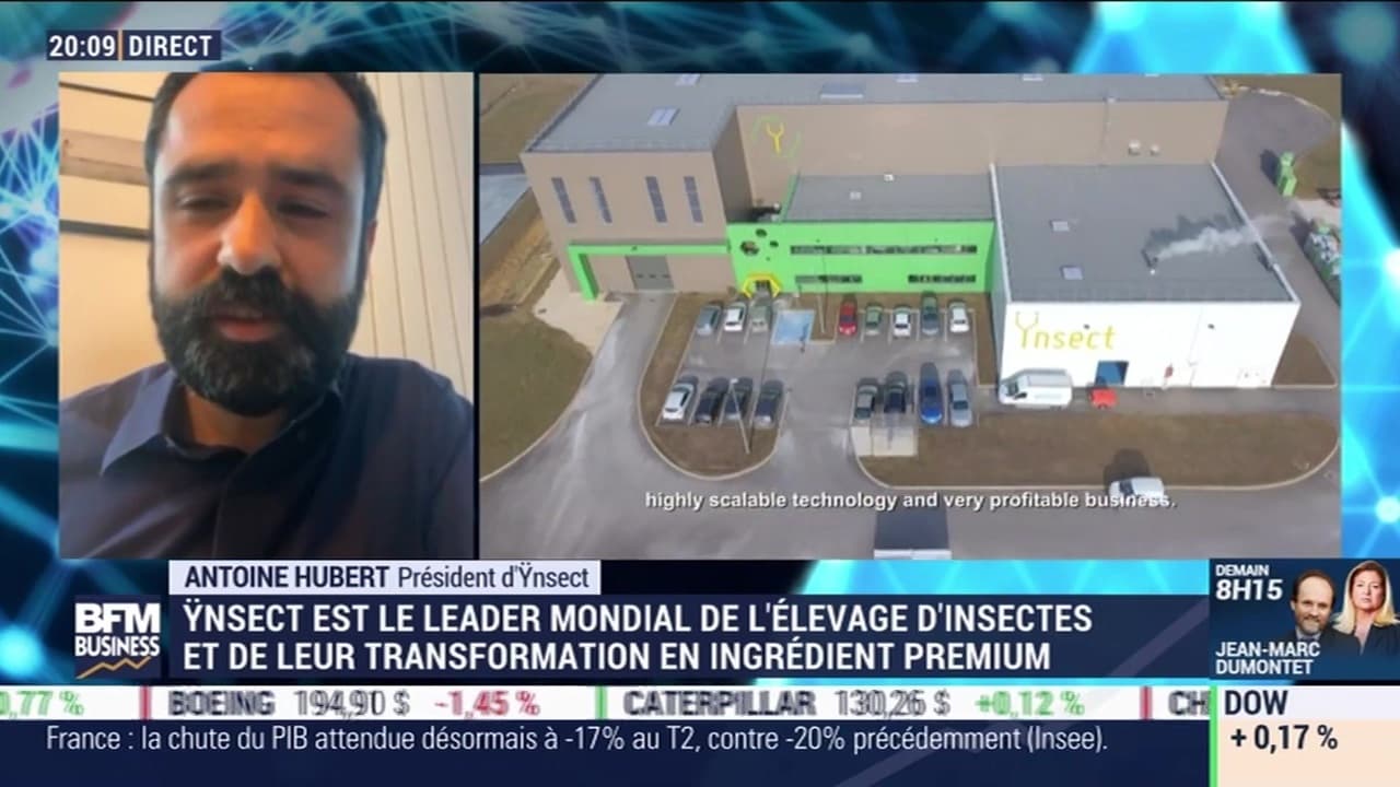 Antoine Hubert (Ÿnsect) : Ÿnsect, la première entreprise au monde à ...
