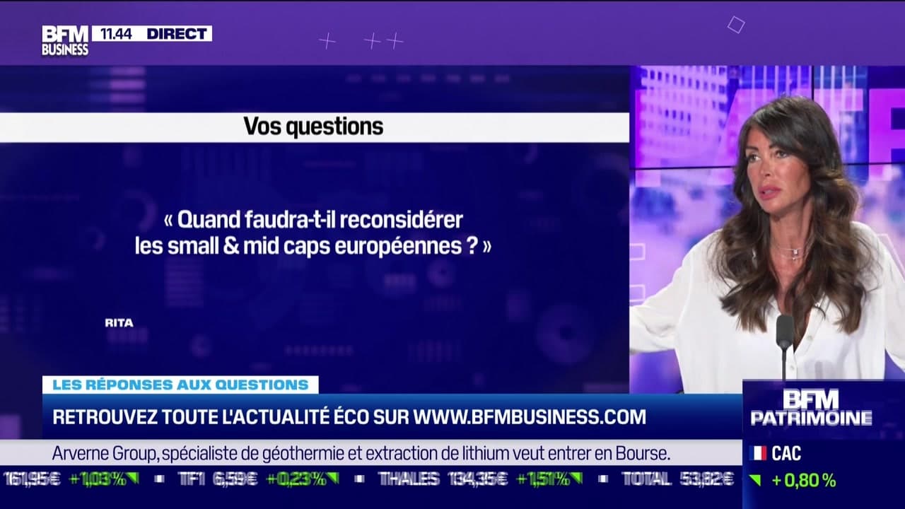 Les questions : Faut-il s'inquiéter du ralentissement du marché ...
