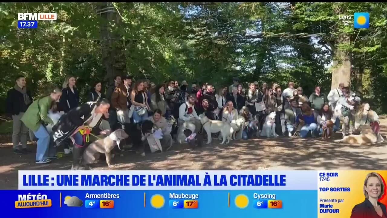 Lille: une marche de l'animal organisée à La Citadelle