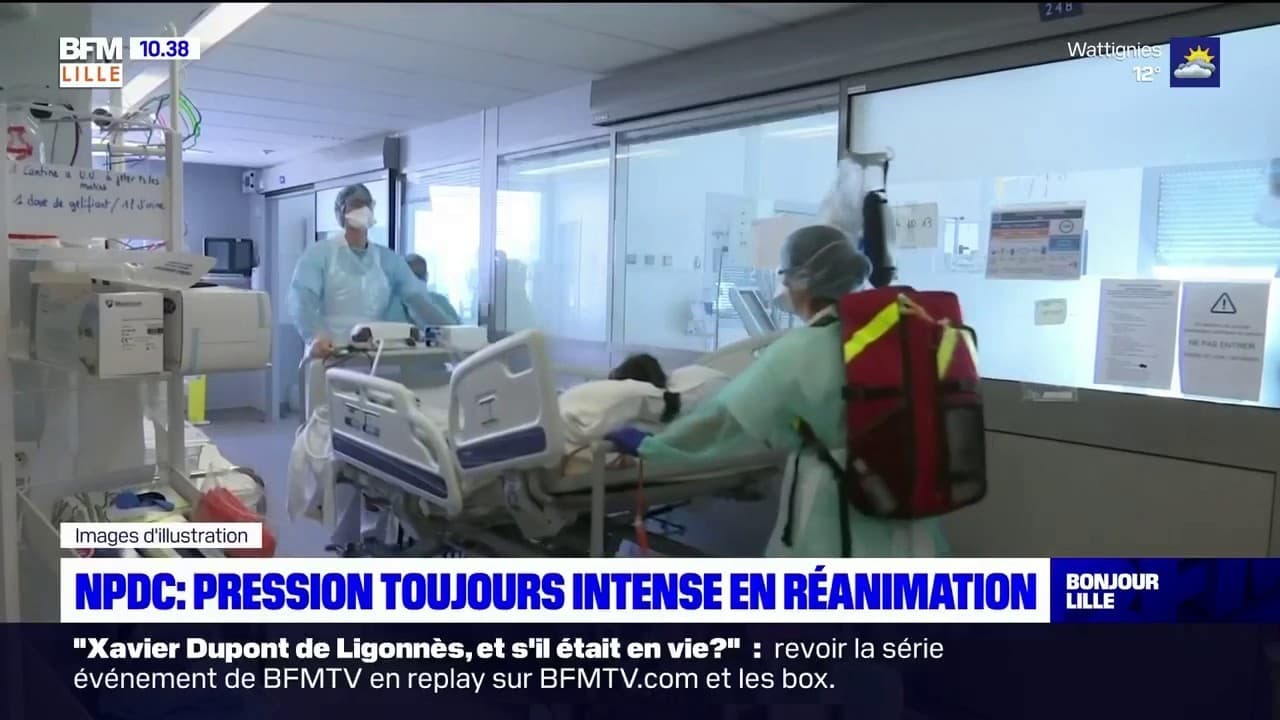 Covid-19: Patrick Goldstein, chef du Samu du Nord, alerte la pression ...