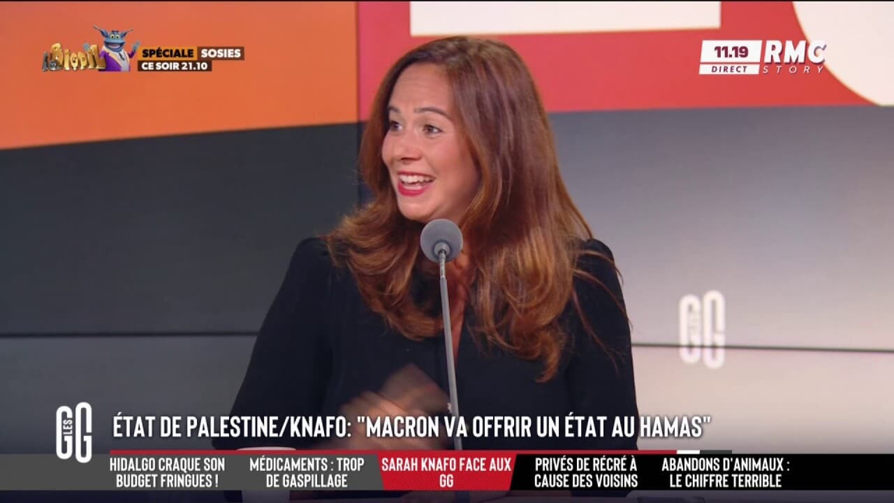 "Delphine Ernotte devrait s'occuper de ses journalistes militants ...