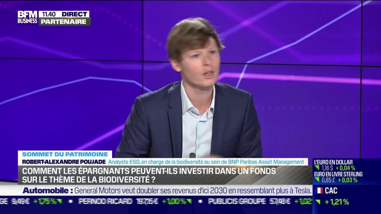 Sommet BFM Patrimoine : Biodiversité, pourquoi les investisseurs s'y ... Sommet BFM Patrimoine : Biodiversité, pourquoi les investisseurs s'y ...