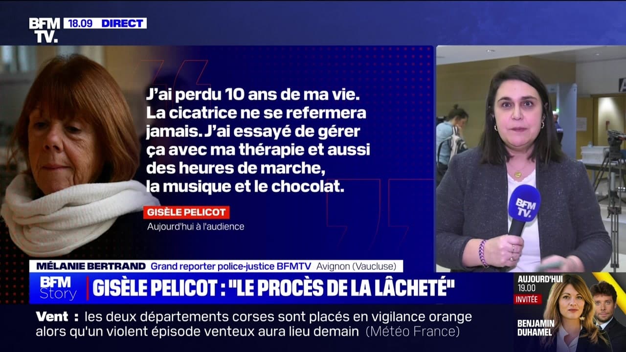 Story 3 : Gisèle Pelicot, "le procès de la lâcheté" - 19/11