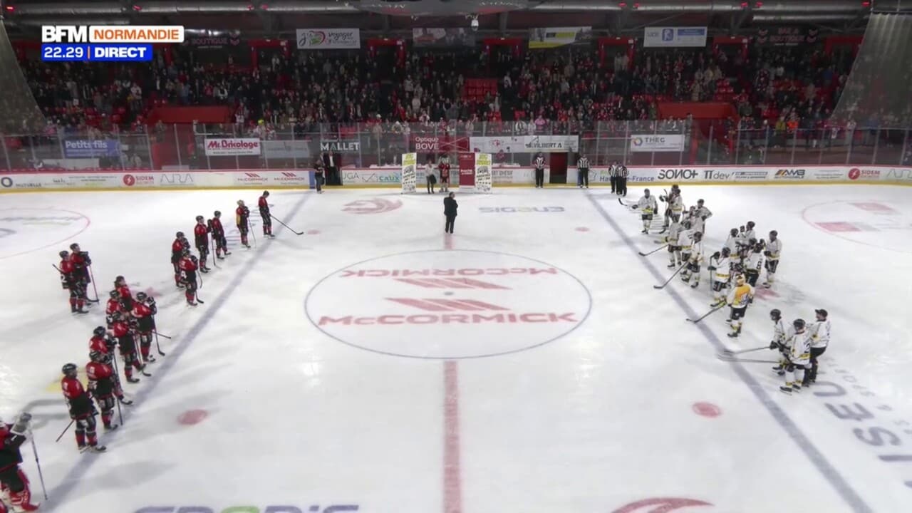 Ligue Magnus: les Dragons de Rouen s'imposent face à Amiens