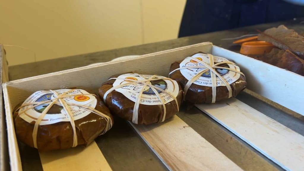 Alpes-de-Haute-Provence: le banon, meilleur fromage au monde selon la ...