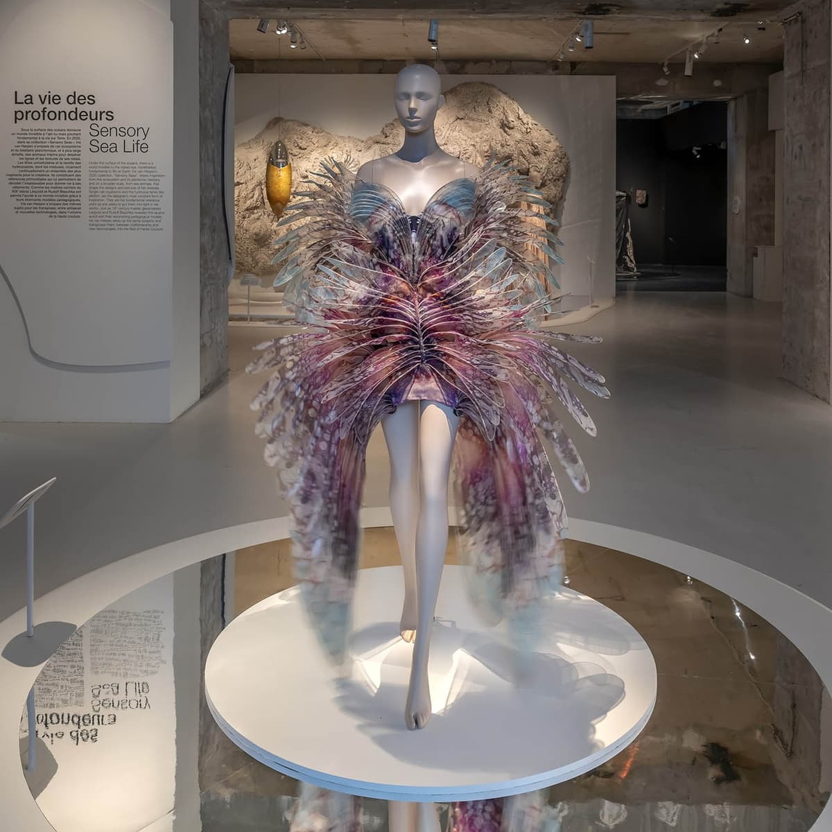 De la mode à la sculpture, retour sur la démarche artistique complexe d’Iris Van Herpen