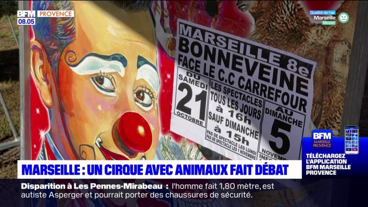 Marseille: le cirque Benzini installé à Bonneveine malgré l ...