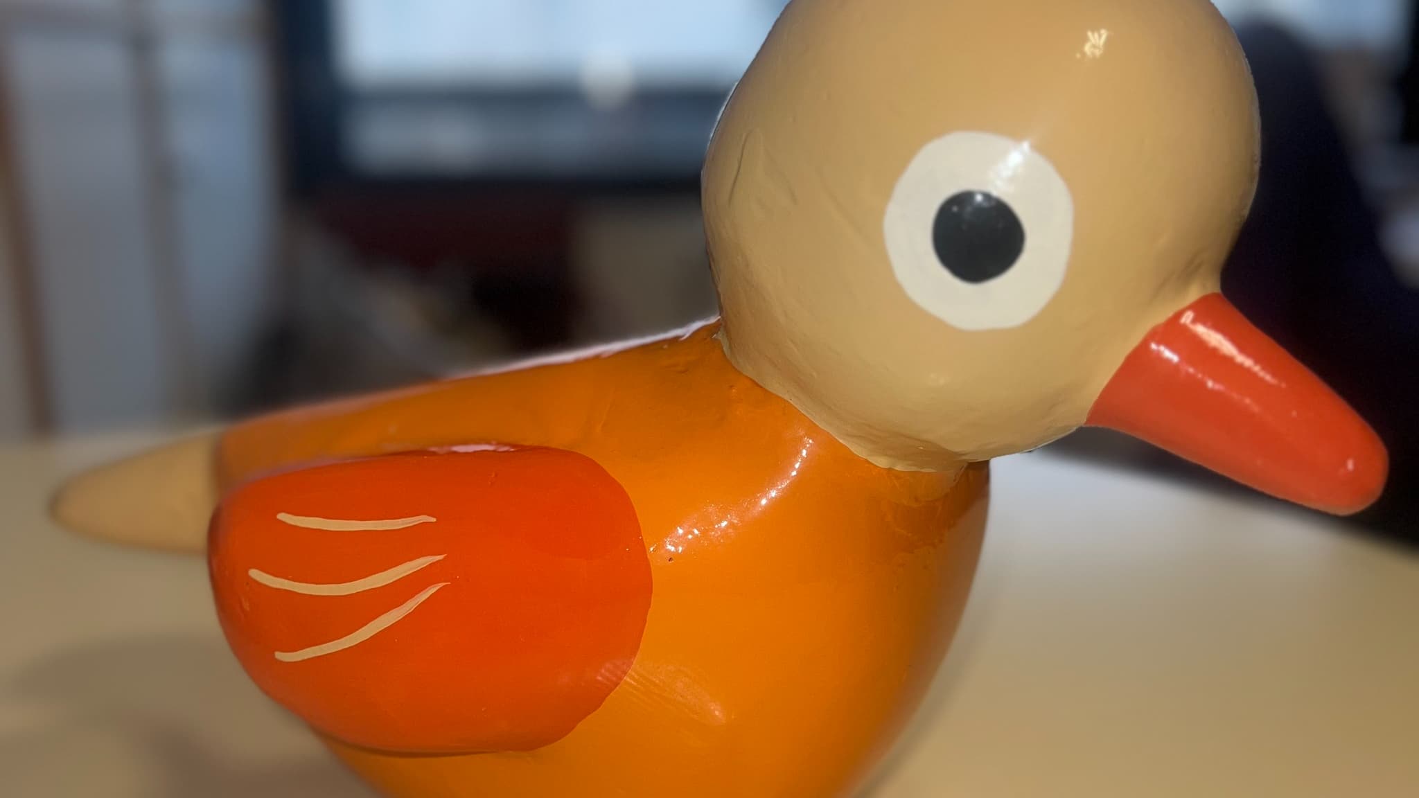 "Piou Piou a été retrouvé": le Petit-Quevilly lève son "alerte ...